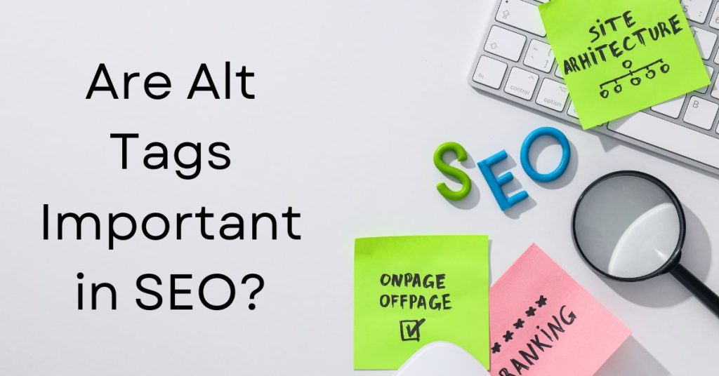 Are Alt Tags Important in SEO ? - Tech Tales NZ